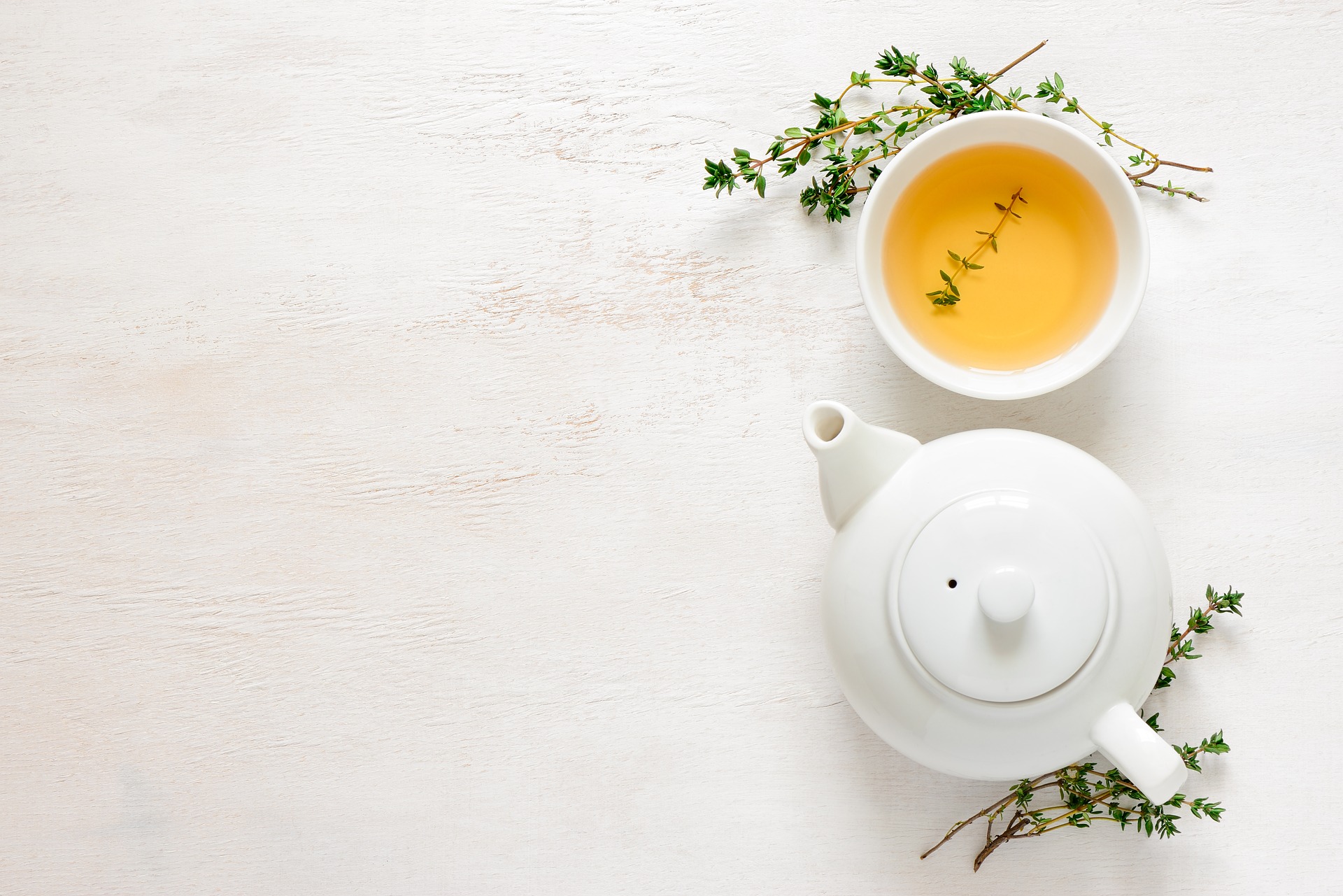 Beneficios de la Camellia Sinensis | Entretantomagazine